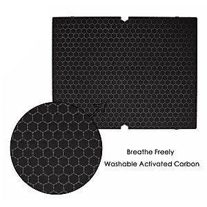 Nispira 116130 5500-2 Air Purifier Replacement Filter H for Winix 5500-2 AM80 True HEPA Activated Carbon 16.25 L x 12.5 W x 1.5 TH, 2 Sets