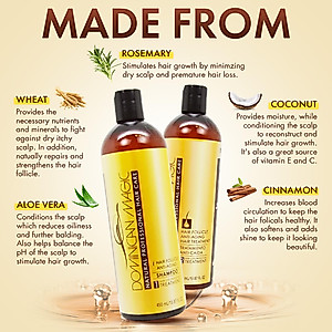 DOMINICAN MAGIC Hair Follicle Anti-aging Shampoo, Strenghtening Shampoo with Rosemary to Stimulate Hair Growth, 15.87 Oz, 15.87 Ounces