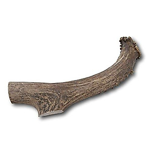 Top Dog Chews Large 6"-9" Long -Antler Dog Chew From Single Antler