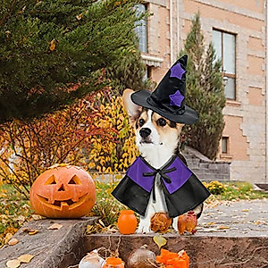 Chichome Cat Halloween Costumes Halloween Pet Wizard Costume for Small Dog Cat Dog Cat Wizard Costume for Cosplay Halloween Party Halloween Christmas Pet Costume Gift for Small Dogs Cats