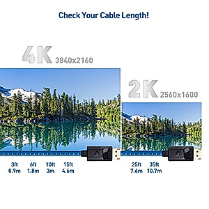 Cable Matters 2-Pack 4K DisplayPort to DisplayPort Cable (DP to DP Cable, Display Port Cable) 6 Feet - 4K 60Hz, 2K 144Hz Monitor Support