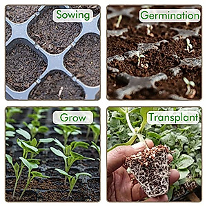 WEWBABY Seed Starter Tray, 10 Pack Thickened Seed Starter Kit BPA Free for Seed Propagation 50 Cell Seedling Starter Trays with Drain Holes Reusable for Microgreens, Planting Seedling