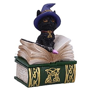 Nemesis Now Binx Small Witches Familiar Black Cat and Spellbook Figurine Box, Green, 11cm