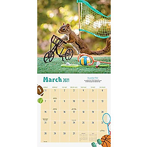 The Secret Life of Squirrels Wall Calendar 2021
