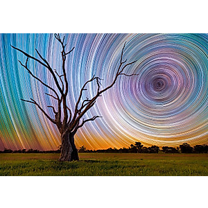 Buffalo Games - Lincoln Harrison - Centrifuge - 1500 Piece Jigsaw Puzzle for Adults -Challenging Puzzle Perfect for Game Nights - Finished Size is 38.50 x 26.50