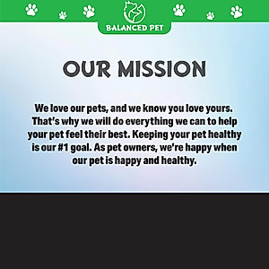 Natural Itch & Yeast Infection Treatment for Dogs | Helps to Reduce Itching, Scratching, & Much More | Dog Ear Infection Treatment | Dog Itch Relief | Dog Yeast Ear Infection Treatment | 1 fl oz