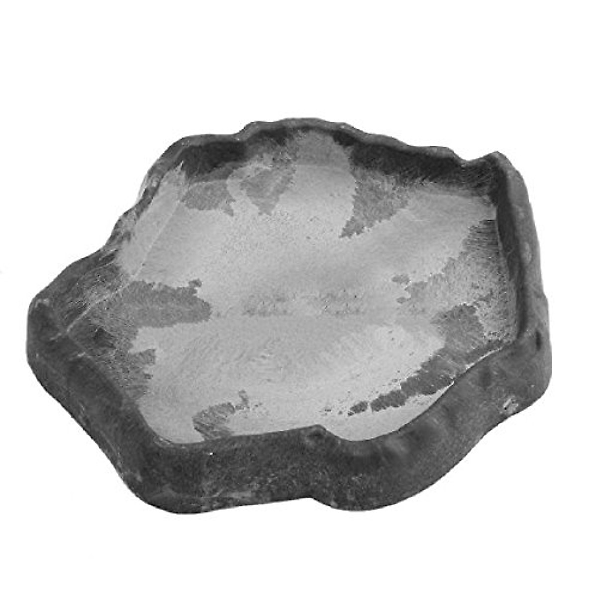 Karen Low Reptile Chameleon Iguana Lizard Reptile Tortoise Water Dish Food Bowl Amphibians Feeding Dish