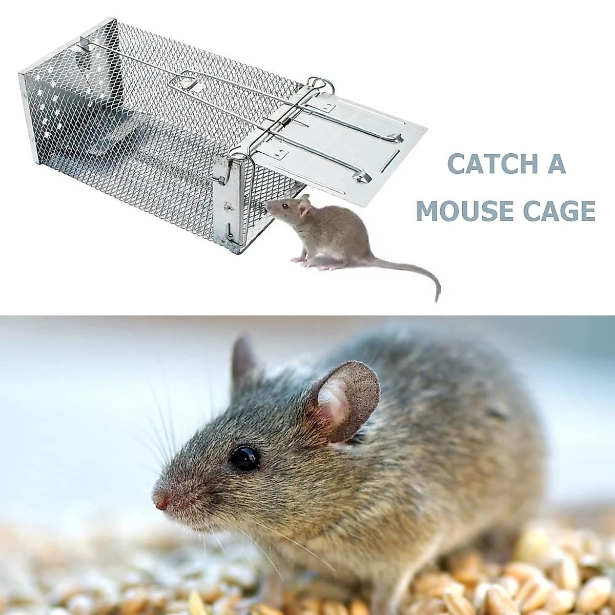 AOK Home Mouse Trap Rat Trap Rodent Trap Live Catch Cage Easy to Set Up and Reuse 11x6x4.5 inch