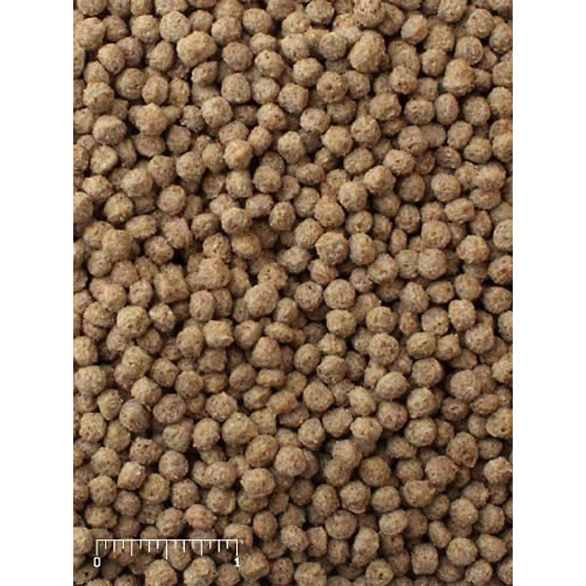 Mazuri | Exotic Gamebird Maintenance | Complete Game Bird Feed - 40 Pound (40 LB) Bag