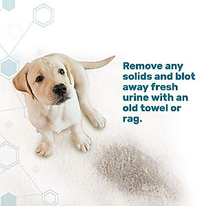 Dr. Mercola, Pet Stain and Odor Remover, 24 FL. oz (1.5 PT) (709 mL), Safe for Pets and Children