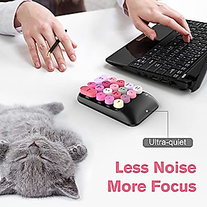 PINKCAT Wireless Number Pad, Cute 18 Keys Numeric Keypad with 2.4G Mini USB Receiver, Portable Silent Number Numpad Financial Accounting for Laptop, PC, Notebook, Desktop, Surface - Black Mix
