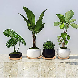 9 PCS 3 Sizes Cork Plant Mat Round Cork Plant Coasters-4/6/8 Inch DIY Cork Pad Plant Plate Pad for Gardening, Indoor and Outdoor Pots, DIY Craft Supplies