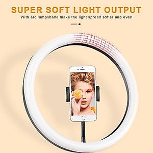 Godox LR120 12" LED Ring Light with Desktop Stand & Phone Holder,3000K-6000K Dimmable Selfie Ring Light,USB Powered Conference Light for Vlogs,YouTube,TikTok,Live Stream,Makeup,Photography (Black)