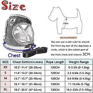FEimaX No Pull Dog Harness and Leash Set, Soft Mesh Adjustable Lightweight Puppy Harnesses with Reflective Strap, Escape Proof Small Dog Cat Vest for Outdoor Walking