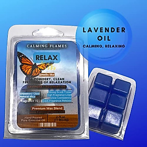 WAX MELTS | Fresh Baby Powder Scent | HIGHLY SCENTED WAX MELTS | Lasting Home Fragrance | Handcrafted in USA | (1-Pack)