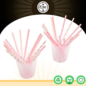 Pink Paper Straws for Drinking Pink Disposable Straws 150pcs Disposable Straws Bulk（10 Pattern） qiqee