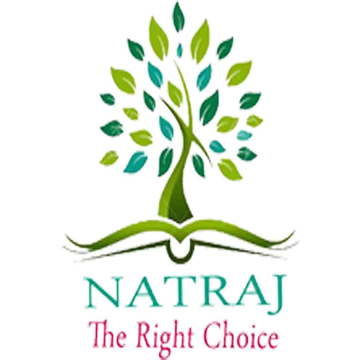 Natraj The Right Choice Amritsari PUNJABI Moong Dal Wadi/Badi/Mung Mangodi|Mangori|Punjabi Wadiyan |Sun Dried Lentil Spice Bits Medium Spicy- 300gm WARIYAN