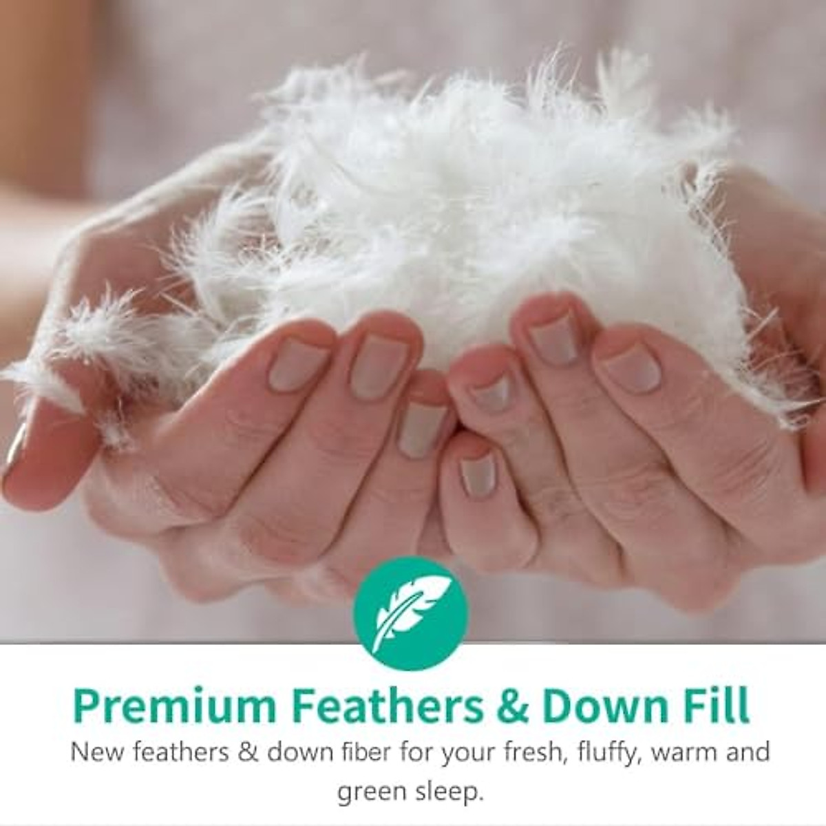 APSMILE Queen Size Feathers Down Comforter - Ultra Soft All Seasons 100% Organic Cotton Feathers Down Duvet Insert Medium Warm Quilted Bed Comforter with Corner Tabs (90x90,Ivory White)