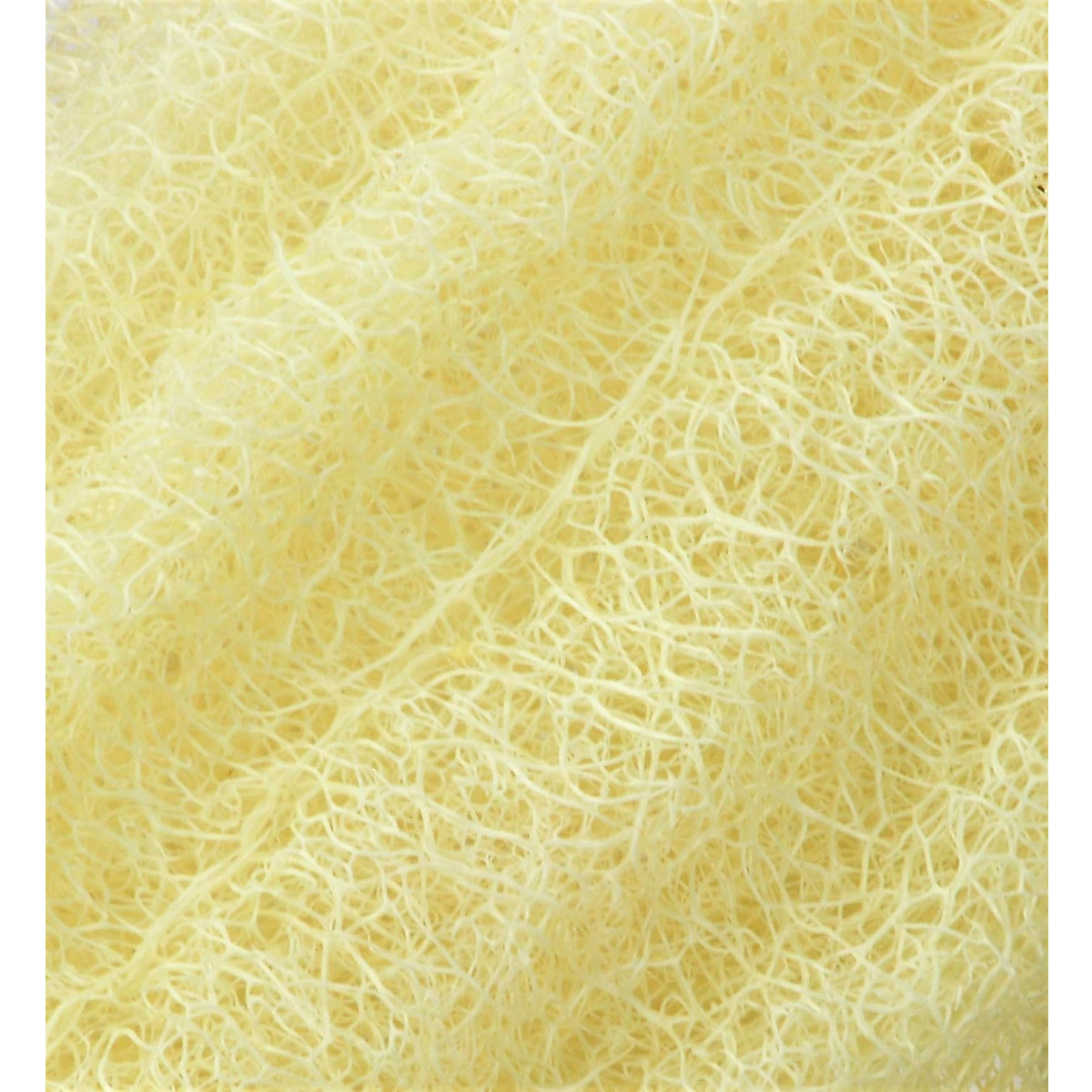 NileCart Egyptian Loofah Sponges Natural Exfoliating Body Wash Gourd, Loofah Bath Sponges for Skincare, Exfoliating Back Scrubber (One Whole Loofah 22")