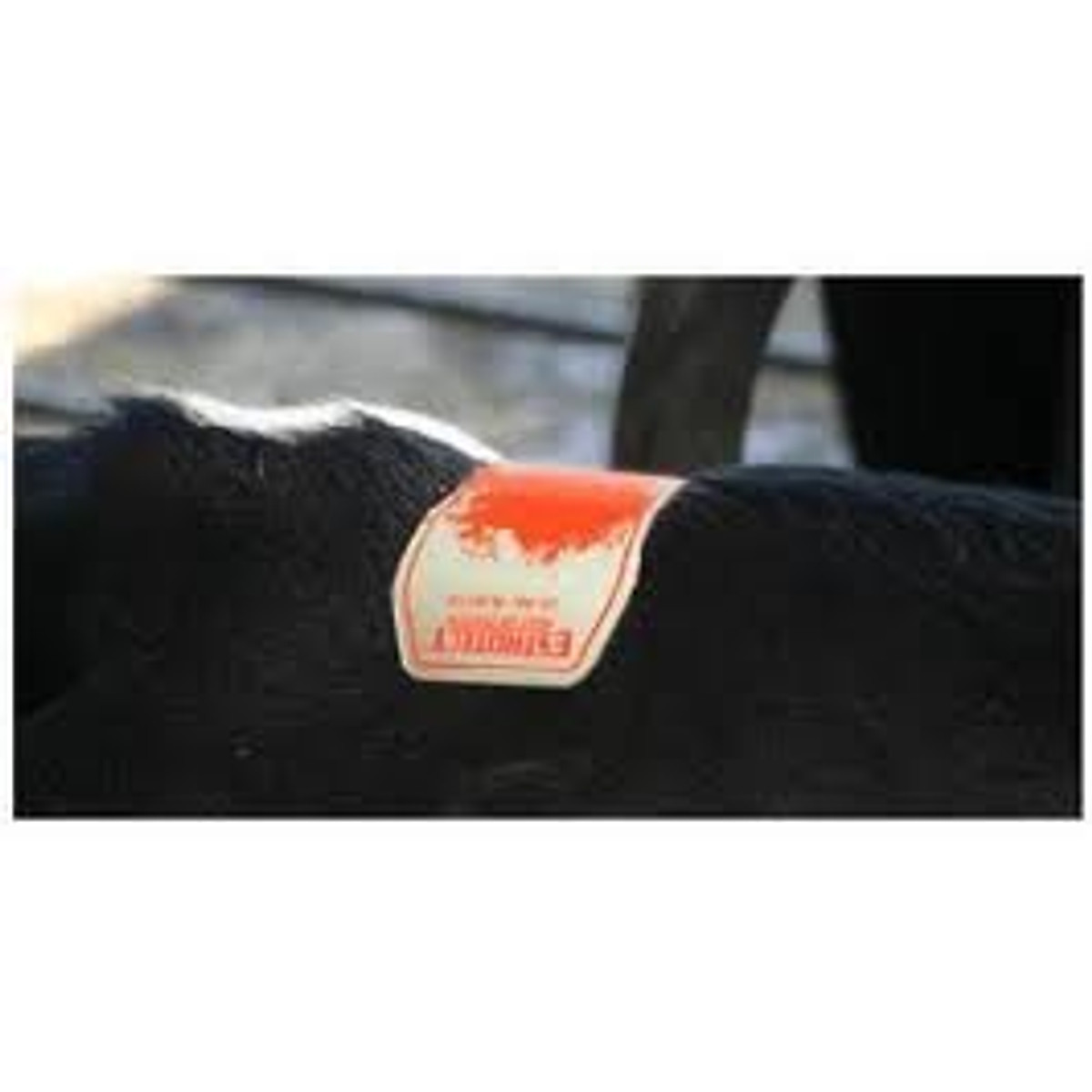 ESTROTECT HEAT DETECTOR RD/OR PK50