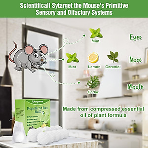 10 Pack Mouse Repellent Mice Deterrent Repellent for House, Rat Repellent Peppermint Oil to Repel Mice and Rats, Rodent Repellent Balls for Outdoor Indoor Pest Insect Control