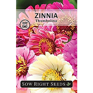 Sow Right Seeds - Zinnia Flower Seeds Collection - Five packets - Luminosa, Canary Bird, California Giants, Envy, and Thumbelina - Full instructions for planting - Wonderful gardening gifts