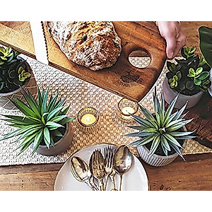 Kurrajong Farmhouse Artificial Plant | 8" Fake Plant | Artificial Succulent in Pot | Fake Succulent | Faux Plant Indoor | Succulent Plant Artificial | Faux Succulent in Pot