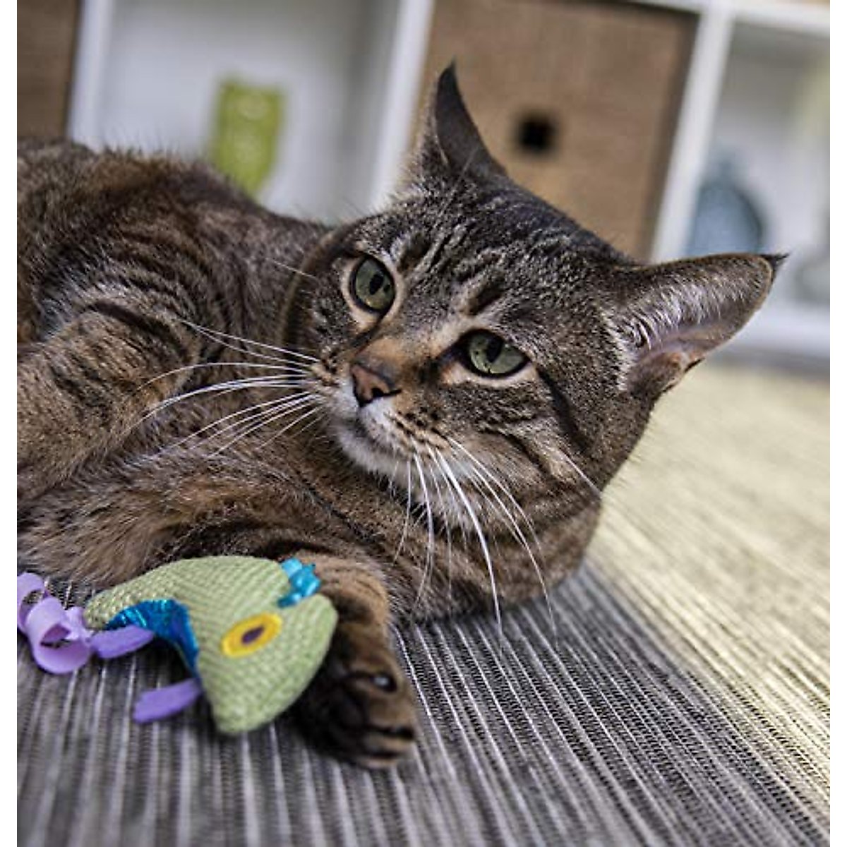 Petlinks HappyNip Crinkle Chameleon Cat Toy, Contains Silvervine & Catnip - Green, One Size