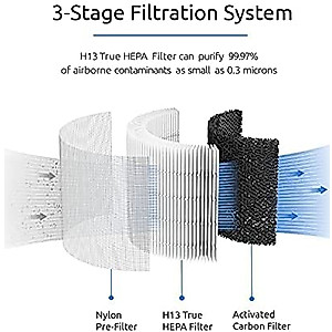 G1 Replacement Filter, Specifically for model G1/G2