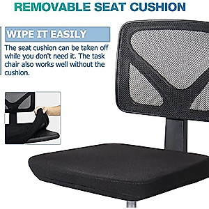 Ergonomic Home Office Desk Chair, Adjustable Armless Computer Chair with Lumbar Support, Small Mesh Task Chair with Backrest Swivel Rolling for Study, Office, Conference Room