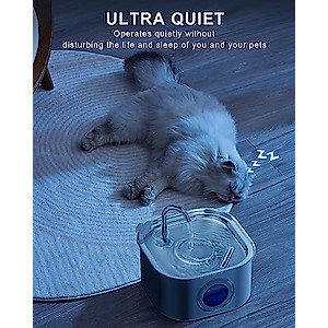 NautyPaws Cat Water Fountain, 3.2L/108oz Automatic Stainless Steel Pet Fountain Dog Water Dispenser with Super Quiet&Transparent Window Design- Ideal for Cats, Dogs and Multiple Pets - Dishwasher Safe