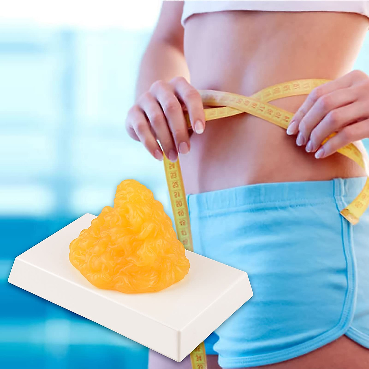 Human Body Fat Replica 1 lb with Display Base, Keep Fit & Weight Loss Motivation & Reminder, Human Fatty Tissue Demonstration Model for Nutritionist