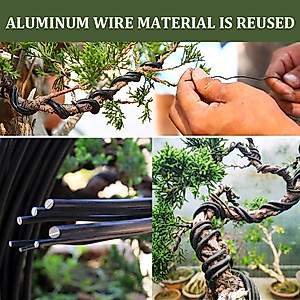 Bonsai Wire with Cutter Kit - 9 Roll Tree Training Wires 149.6 Feet Total .Anodized Aluminum Wire 1mm/1.5mm/2.0 mm Training Wire，for Bonzai Trees Indoor (149.6 Feet, Green, 9)