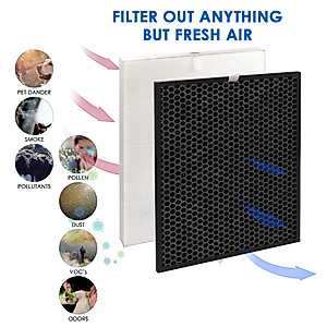 Flintar HR900 H13 True HEPA Replacement Filter T, Compatible with Winix HR900 Air Purifier, H13 Grade True HEPA and Activated Carbon Filter, Item Number 1712-0093-00, Filter T