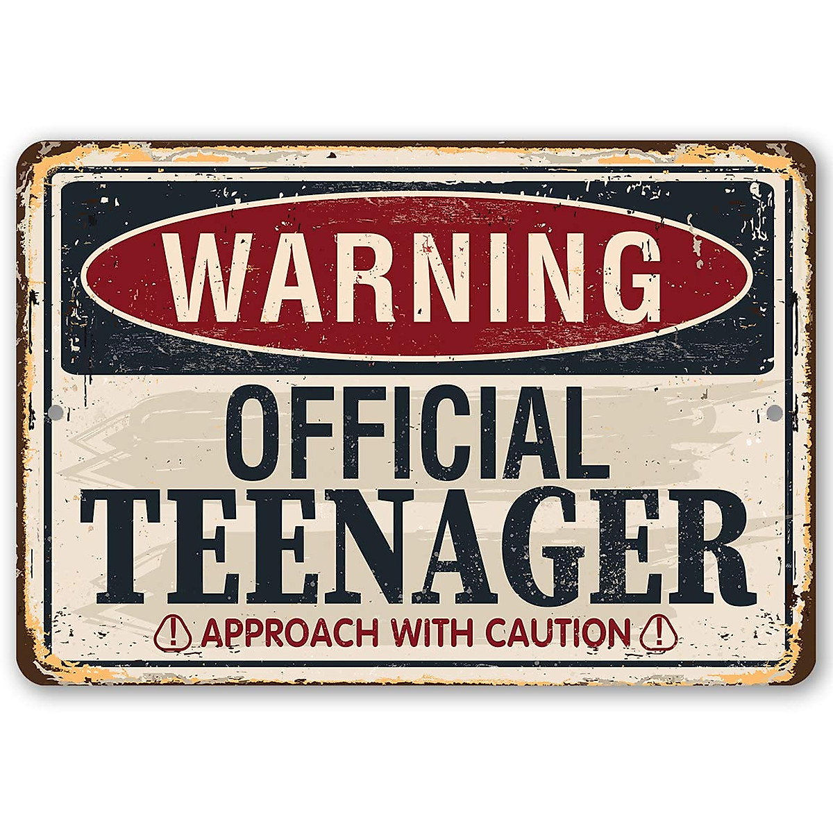 Metal Sign - Warning Official Teenager - Durable Metal Sign - Use Indoor/Outdoor - Funny Teen's Bedroom Decor and Birthday Gift Under $20 (8" x 12")