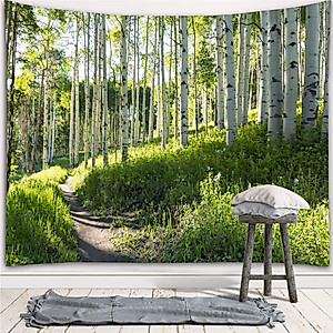 YISURE Forest Wall Tapestry Nature Tree Trail Path Landscape Wall Hanging, Morning Sunshine Through Green Tree Wall Tapestries for Home Office Indoor and Outdoor Decor, 80(W) x60(L) Inch