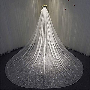 Aukmla Sparkle Cathedral Wedding Veil Long Glitter Bridal Veils with Comb for Women and Brides (White, 59'' Width)