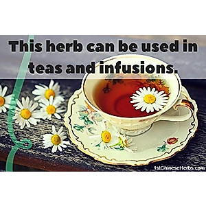 Myriad Mycology Agarikon Mushroom Powder - 1 Pound - Made in USA (Ku Bai Ti) - Natural Immune Booster