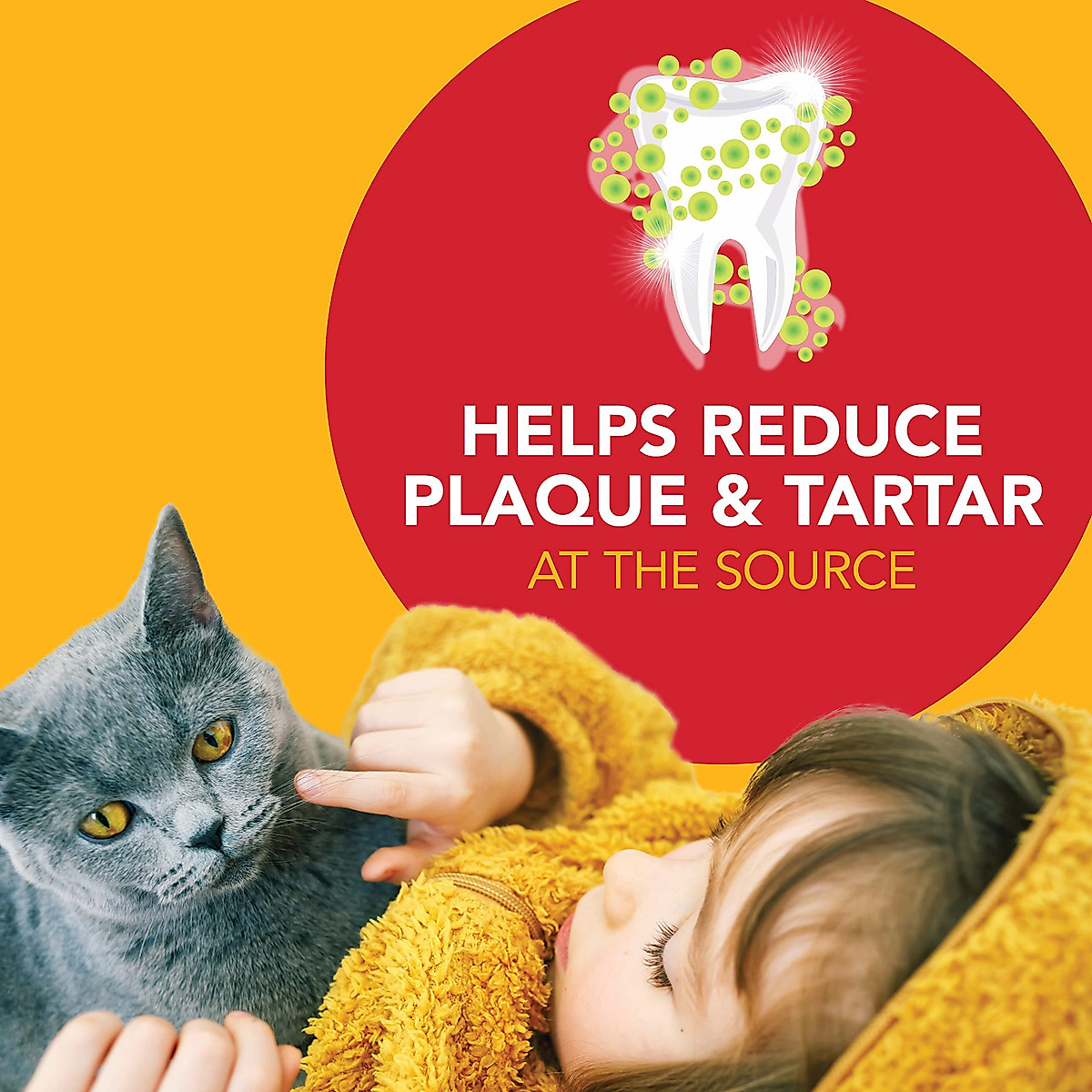 Petrodex Dental Care Kit for Cats, Cat Toothbrush and Toothpaste, Cleans Teeth and Fights Bad Breath, Reduces Plaque Tartar Formation, Malt Flavor, 2.5oz Toothpaste + Toothbrush