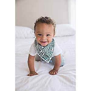 Copper Pearl Baby Bandana Drool Bibs for Drooling and Teething 4 Pack Gift Set “Bison, Soft Set of Cloth Bandana Bibs for Any Baby Girl or Boy, Cute Registry Ideas for Baby Shower Gifts