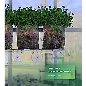 Window Garden Microgreens Grow Kit - Assorted Microgreen Seeds, Indoor Starter Growing Kit -Window Garden 20 Cavity Seed Propagation Kits (2) – Complete with Fiber Soil