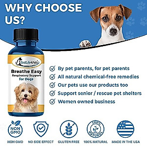 BestLife4Pets Breathe Easy Respiratory Support for Dog - All-Natural All-in-One Pet Supply for Natural Relief for Kennel Cough, Runny Nose, Sneezing and Sinus Congestion - Easy to Use Pills