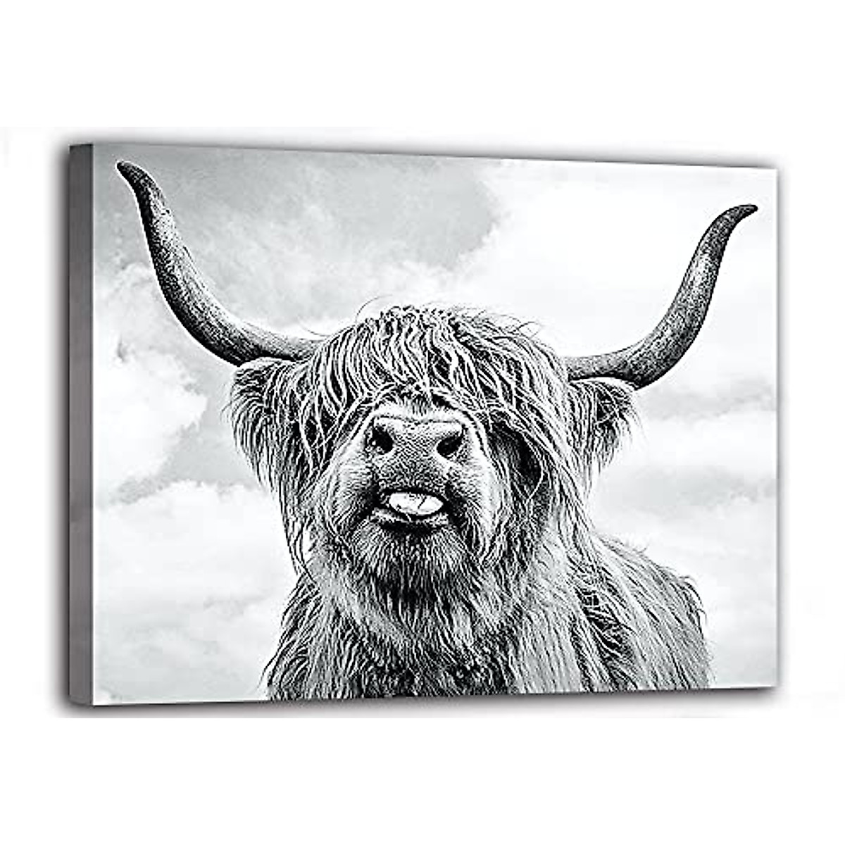 Highland Cow Canvas Print Black and White Highland Cow Wall Art Farmhouse Wall Decor Longhorn Highland Cattle Picture Stretched and Framed Ready to Hang for Living Room Bathroom Decor 12x16inch for fengyuyi