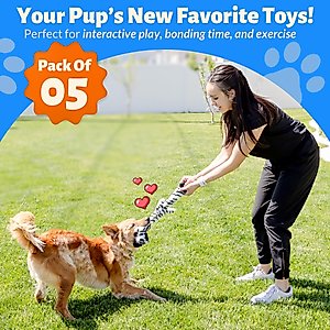 Squeaky No Stuffing Dog Toy Set – New & Improved Edition Plush Crinkle Dog Toys for Small, Medium & Large Breeds – Soft Tough Stuffless Puppy Chew Squeak Animal Supports Pet Health & Well Being 5 Pack