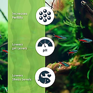 JOR 60 Pack Mini Catappa Indian Almond Leaves for Neon Tetra, Dried Leaf for Spawning, Perfect Hiding Spot, Create Brackish Habitat for Tropical Fish Like Guppy, Platy, Tiger Barb, Discus, Gourami