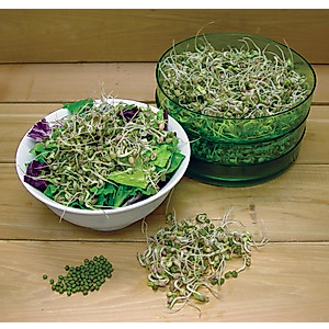 Burpee Mung Bean Sprout Seed Seeds 4 ounces of seed