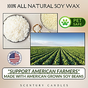 Wickless Candles For Candle Warmer Lamp, Many Scents To Choose, 100% Non-Toxic Soy Wax, Scented Candle Melts For Warming Plate, Handmade In The USA (Citrus Sunshine)