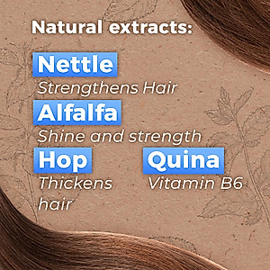 TIO NACHO Volume Filler Conditioner Value Pack (Pack of 3)