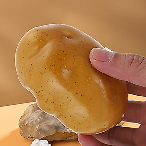 6pcs Fake Vegetables Simulation Potato Props Fake Potato Tabletop Decor Home Accents Decor Food Decor Faux Potatoes Desk Topper Potato Heads Model Potato Decoration Home Potato Prop Pu Food