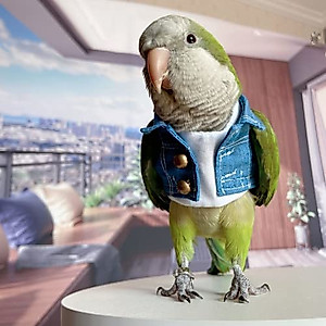 Bird Costume Bird Diaper Flight Suit Bird Jeans Fake Two Pieces Bird Clothes Cosplay Photo Prop for Parrots Lovebird Parakeet Cockatiel Small Animals Apparel (Without Diaper,Cockatiel)